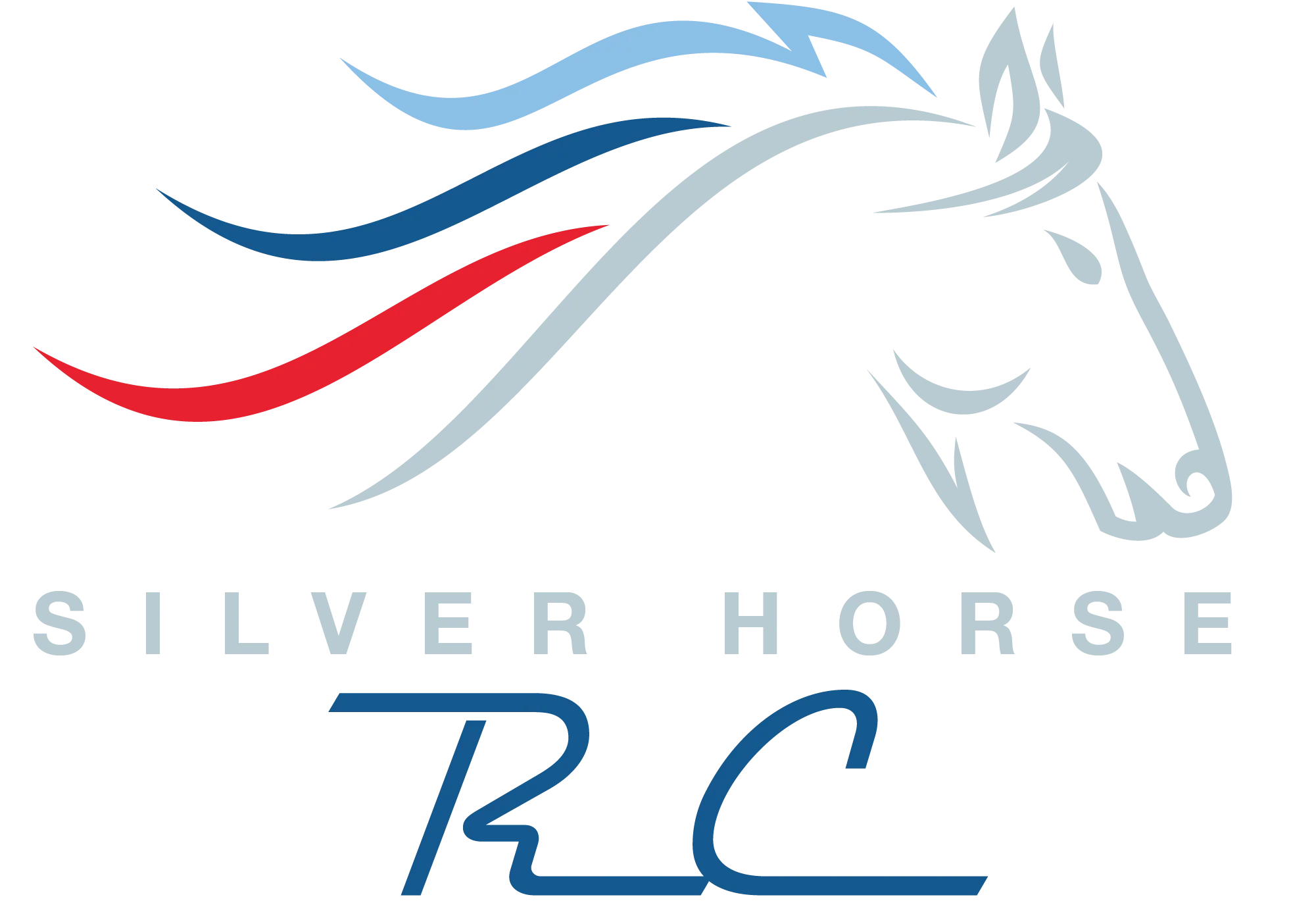 Silver Horse Complete – RC Hobby NC